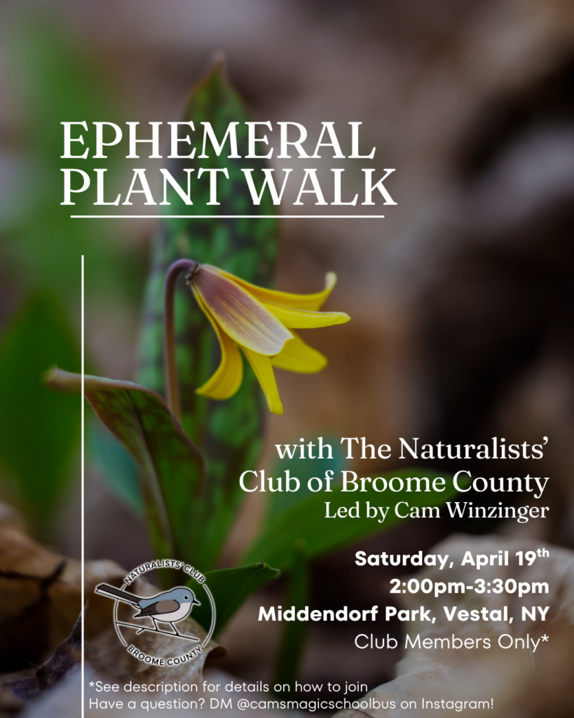Spring Ephemeral Plant Walk